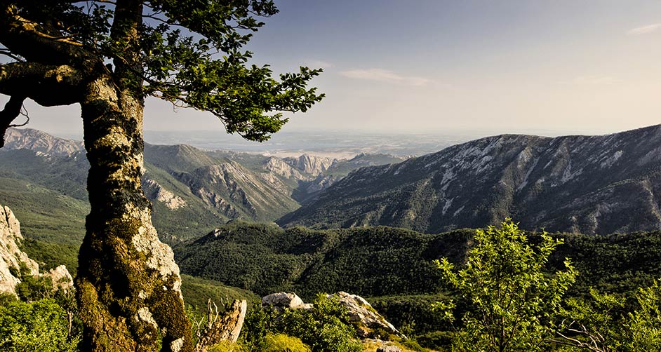 Great packages in Camping Paklenica - CAMPING.HR